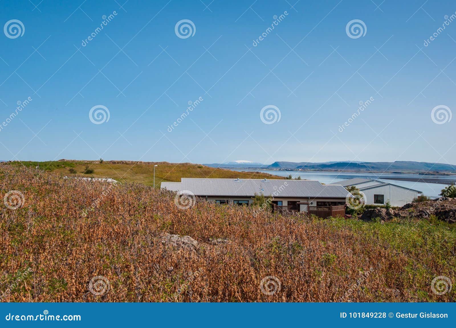 Town of Borgarnes in Iceland Stock Photo - Image of green, nature ...