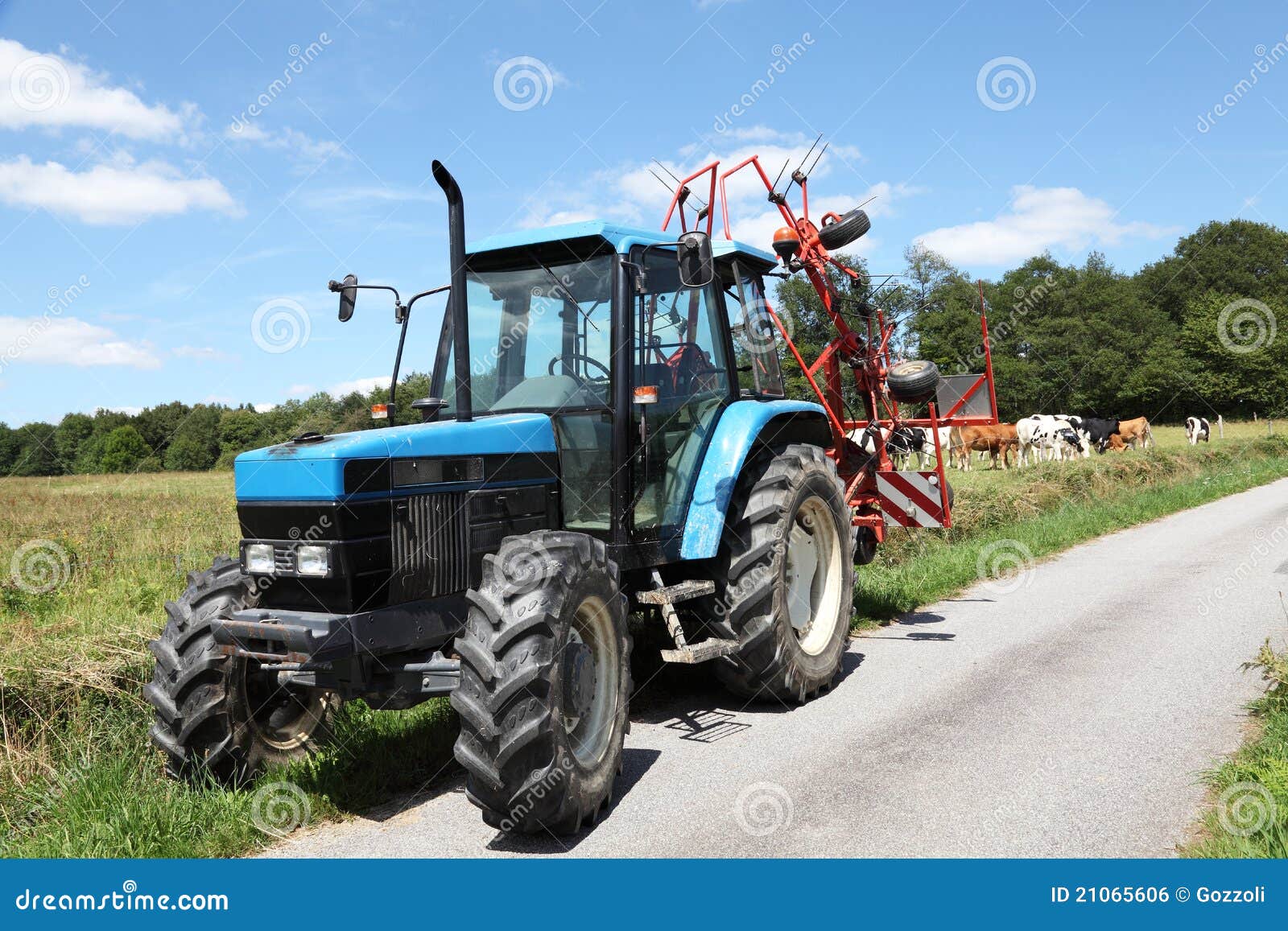 Summer Tractor and Hay Rake Stock Photo - Image of livestock, implement ...