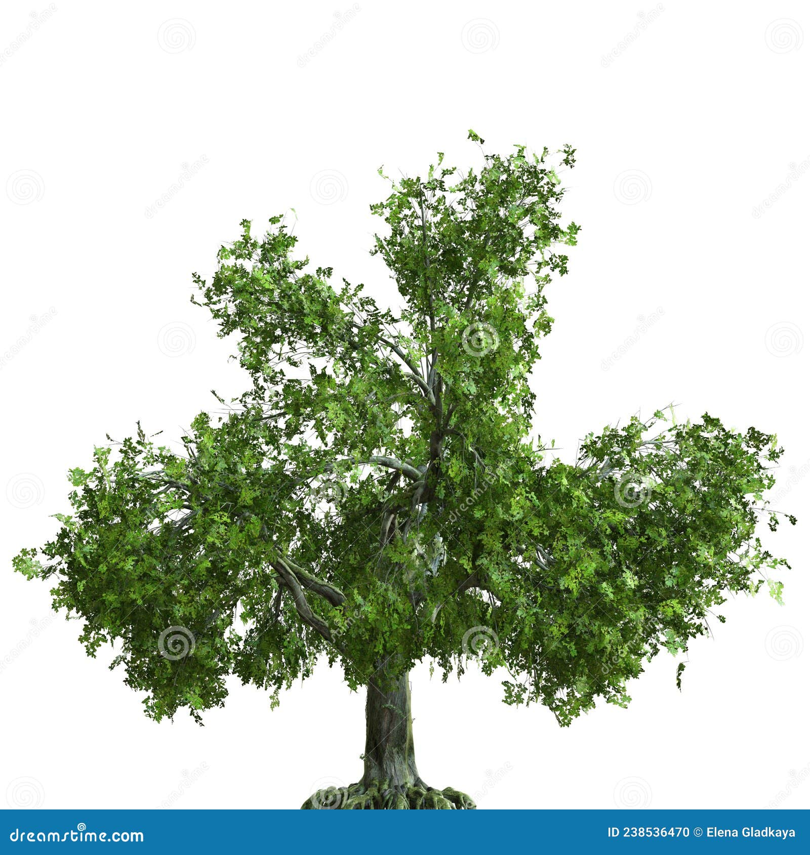 Summer Tree 3d Illustration Isolated on White Background Stock ...