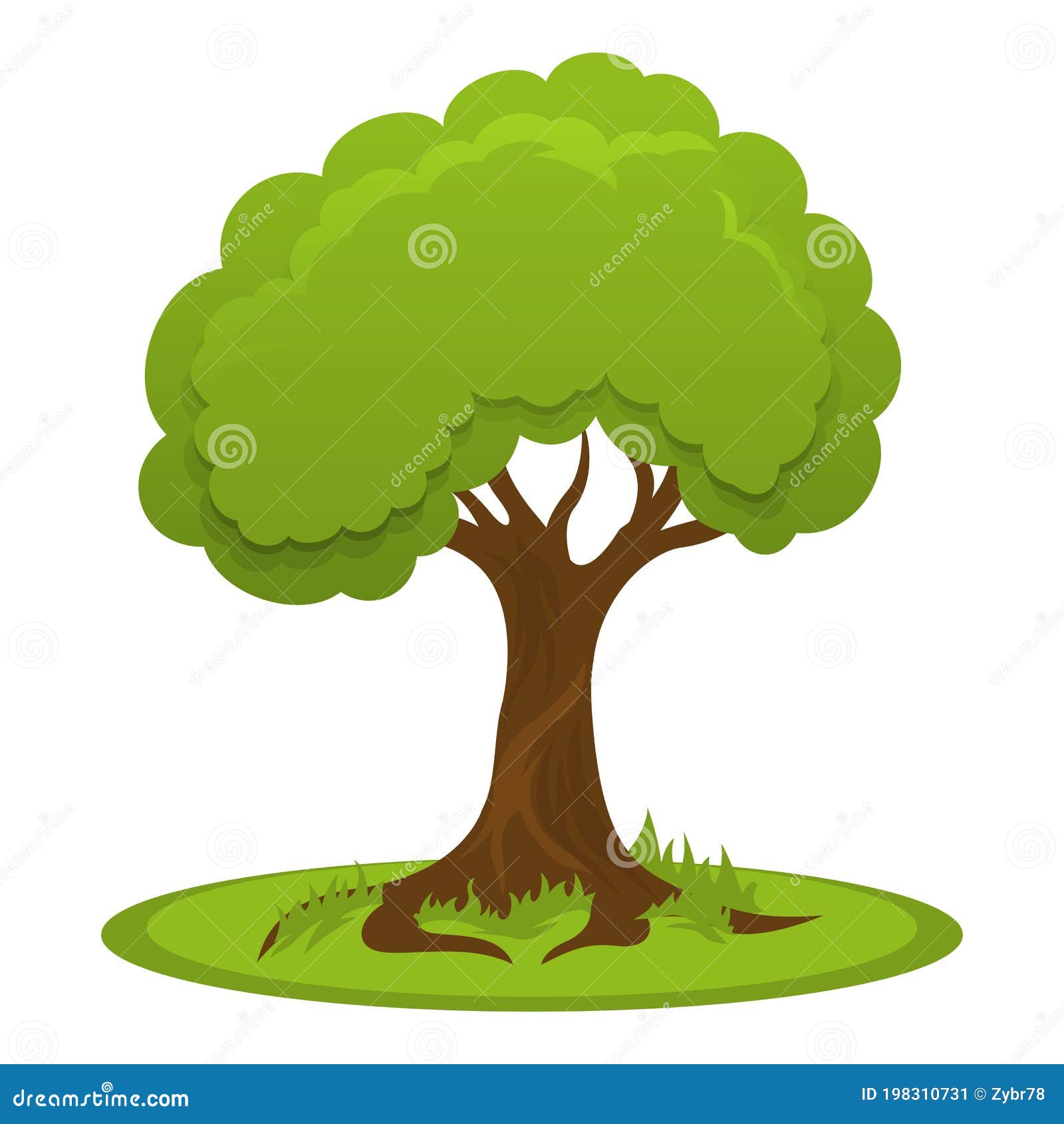Summer Tree with Flat Crown Stock Vector - Illustration of tree ...