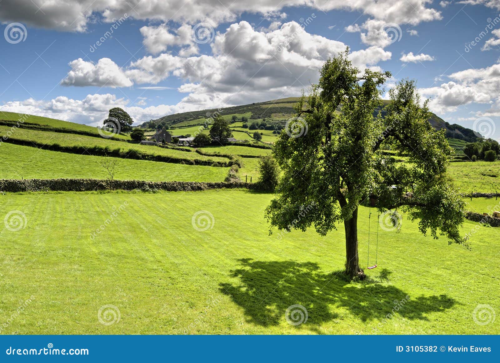 4,766 Outdoor Seen Tree Grass Stock Photos - Free & Royalty-Free Stock ...