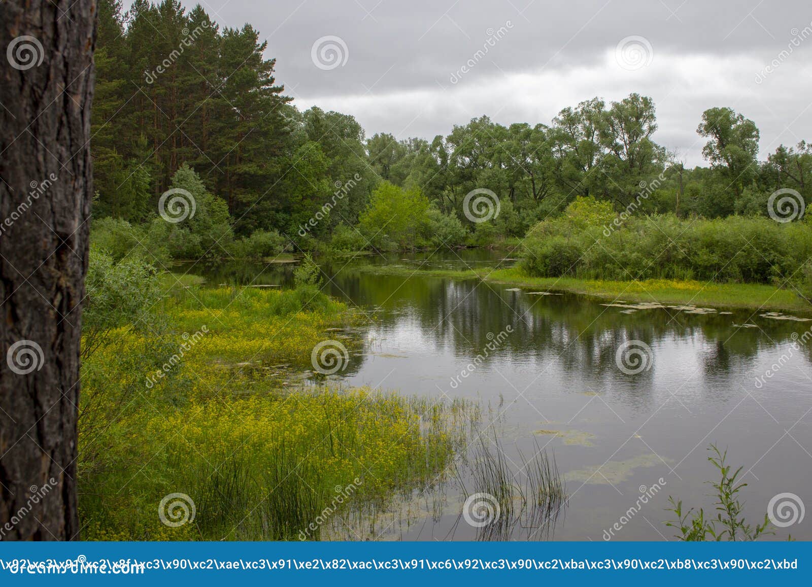 Summer Ural landscape stock image. Image of ural, taiga - 223801751
