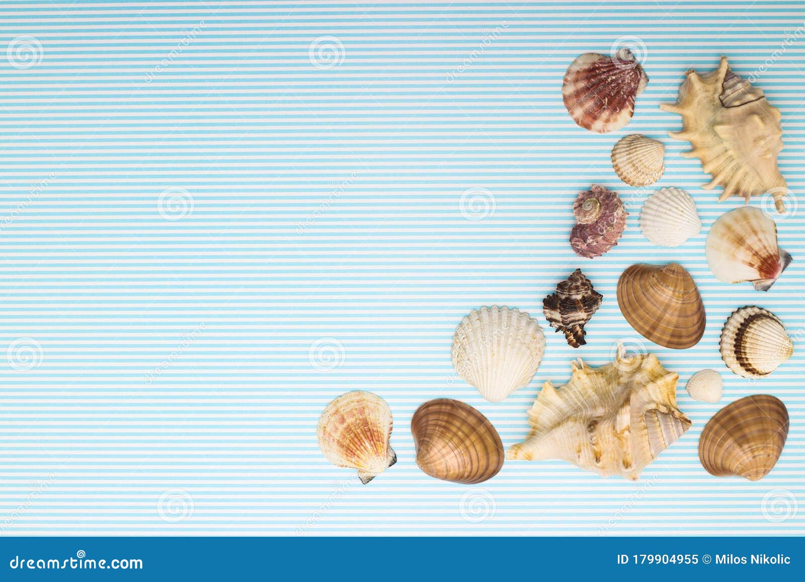 Summer Vacation Concept with Sea Shells Stock Image - Image of party ...