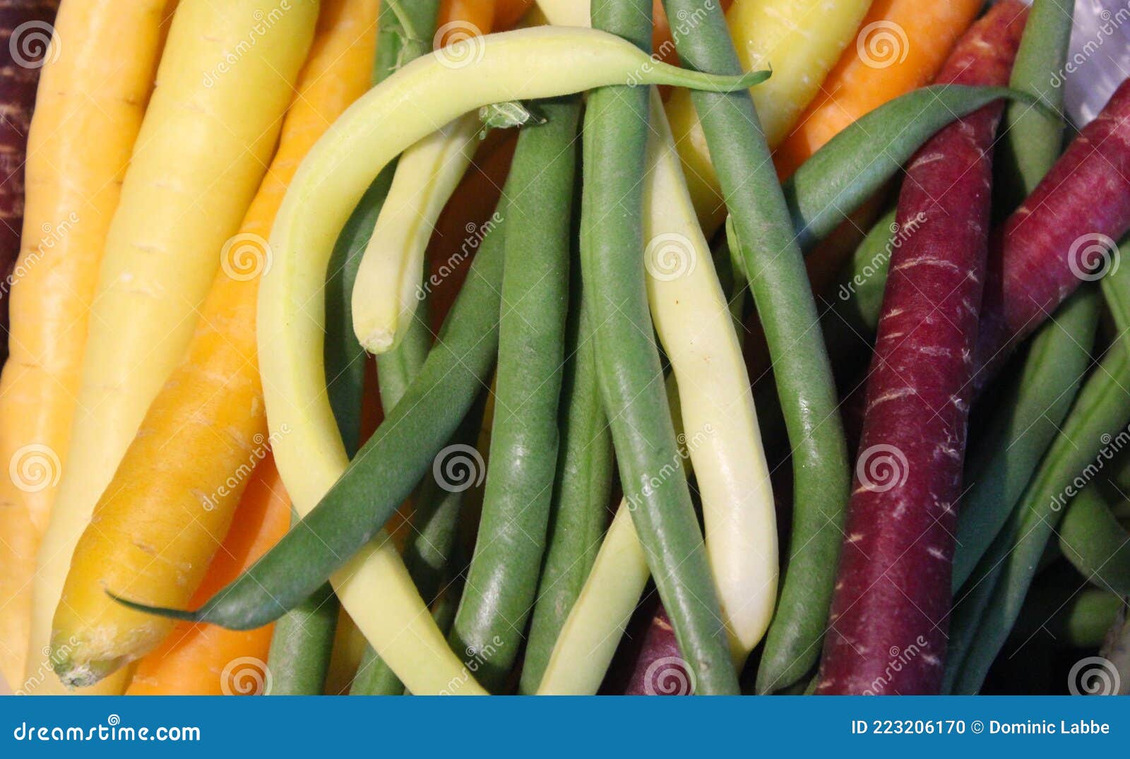 Summer vegetables stock photo. Image of vegetarian, ingredient - 223206170