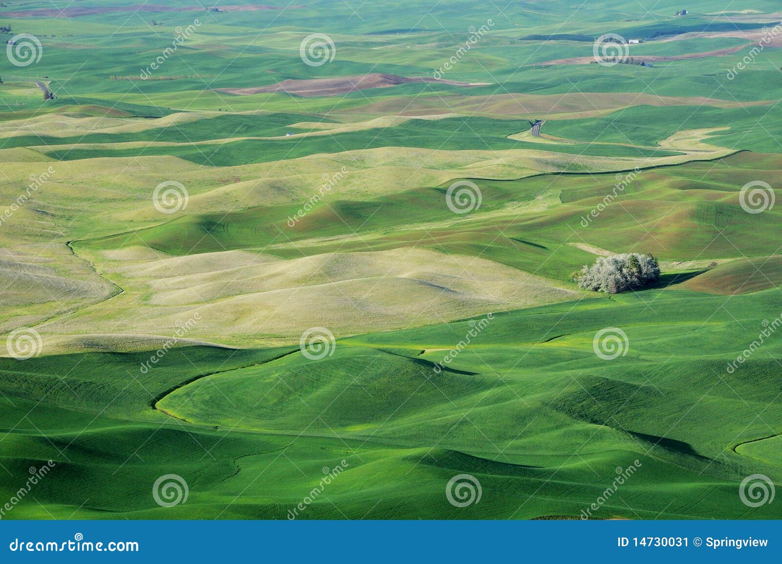 29,235 Farmland Pattern Stock Photos - Free & Royalty-Free Stock Photos ...