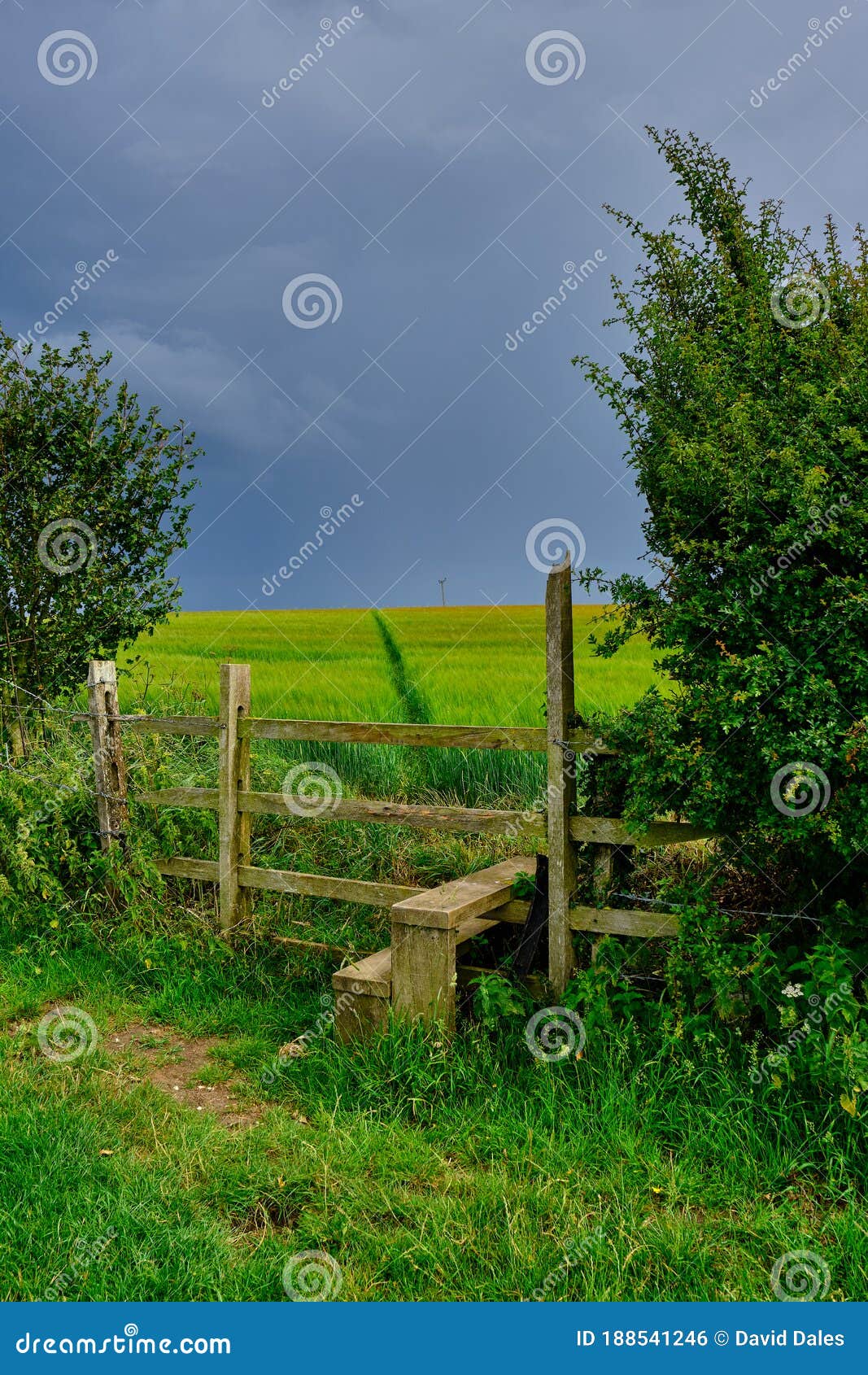 Summer View of a Stile in English Countryside. Stock Photo - Image of ...