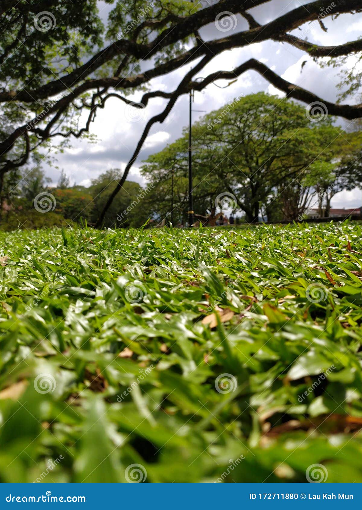 Summer View of Taiping, Malaysia One Stock Photo - Image of summer ...