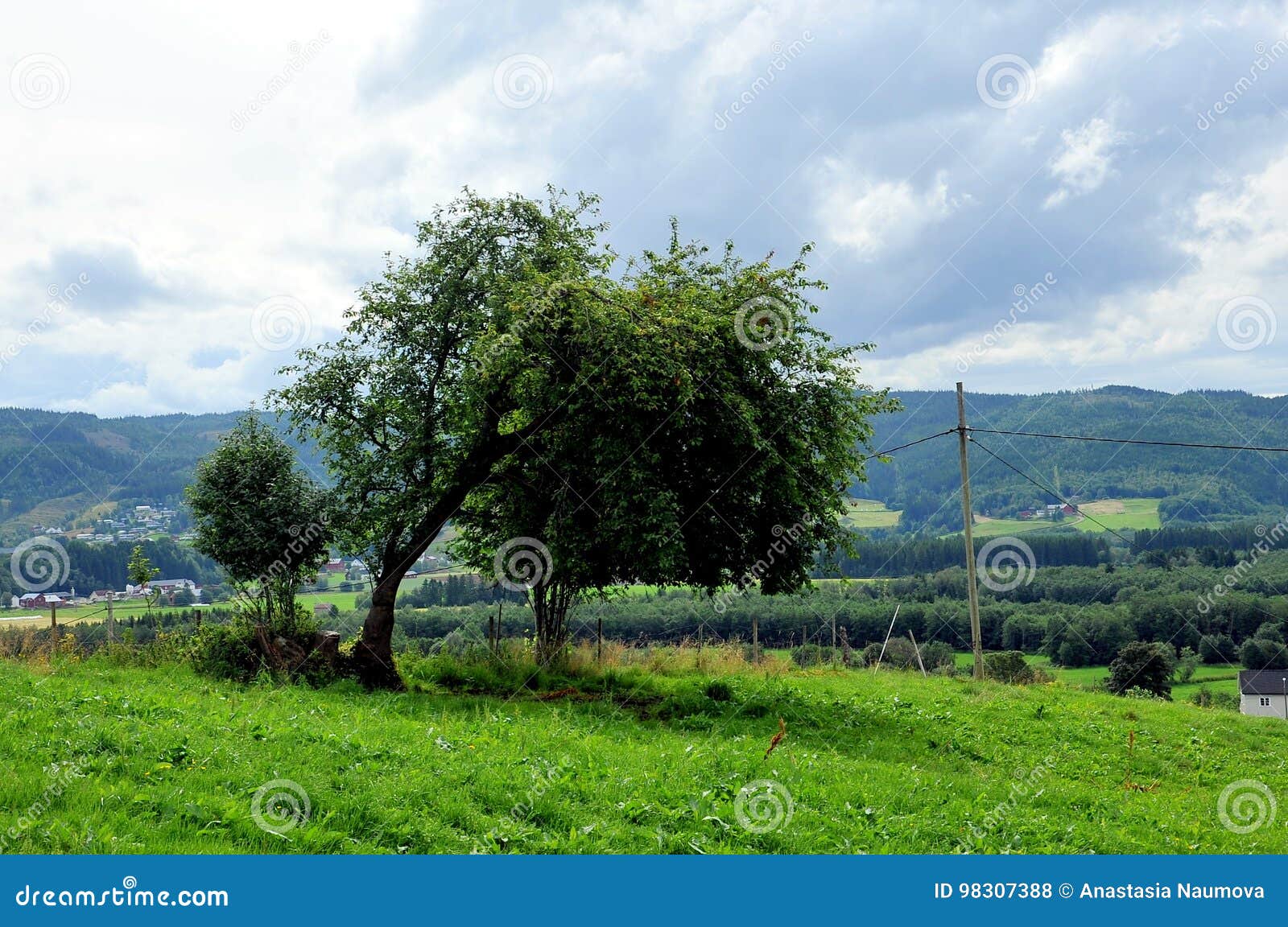 View Over the Village of Selbu, Norway Stock Photo - Image of street ...
