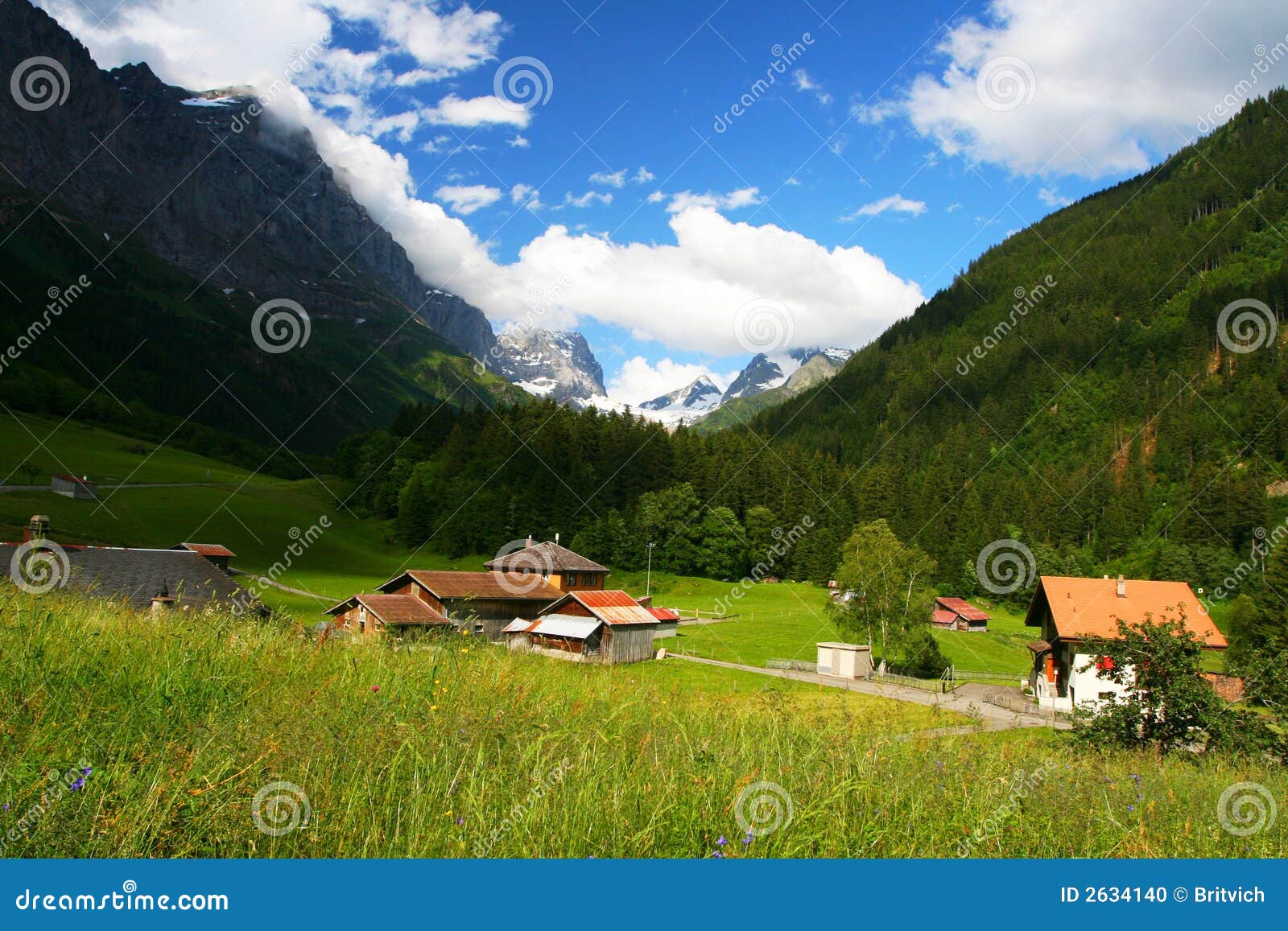 Summer Village of Swiss Alps Stock Photo - Image of activity, farmeland ...