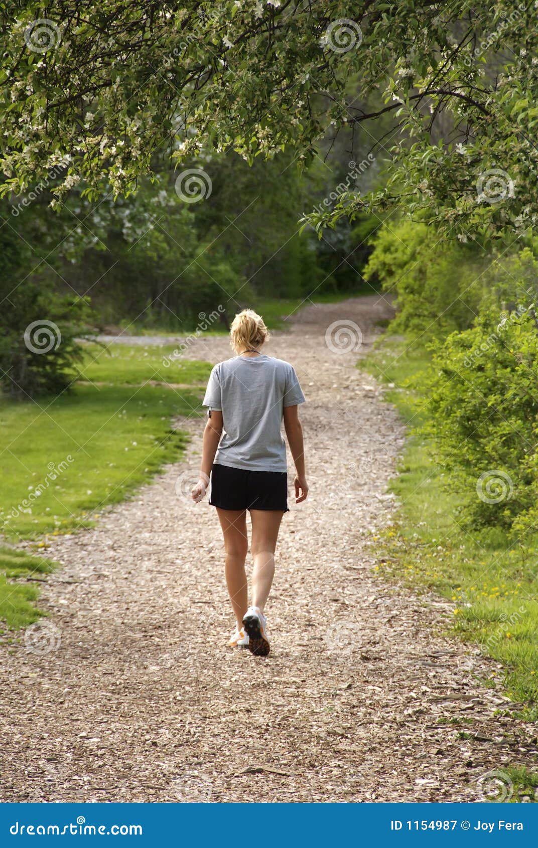Summer Walk stock image. Image of walking, perspective - 1154987