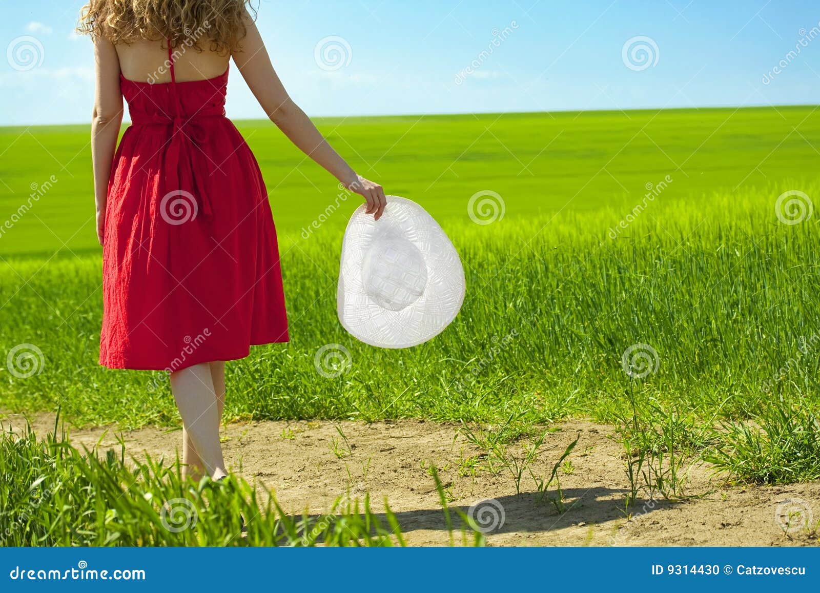 Summer walk stock photo. Image of countryside, farmland - 9314430