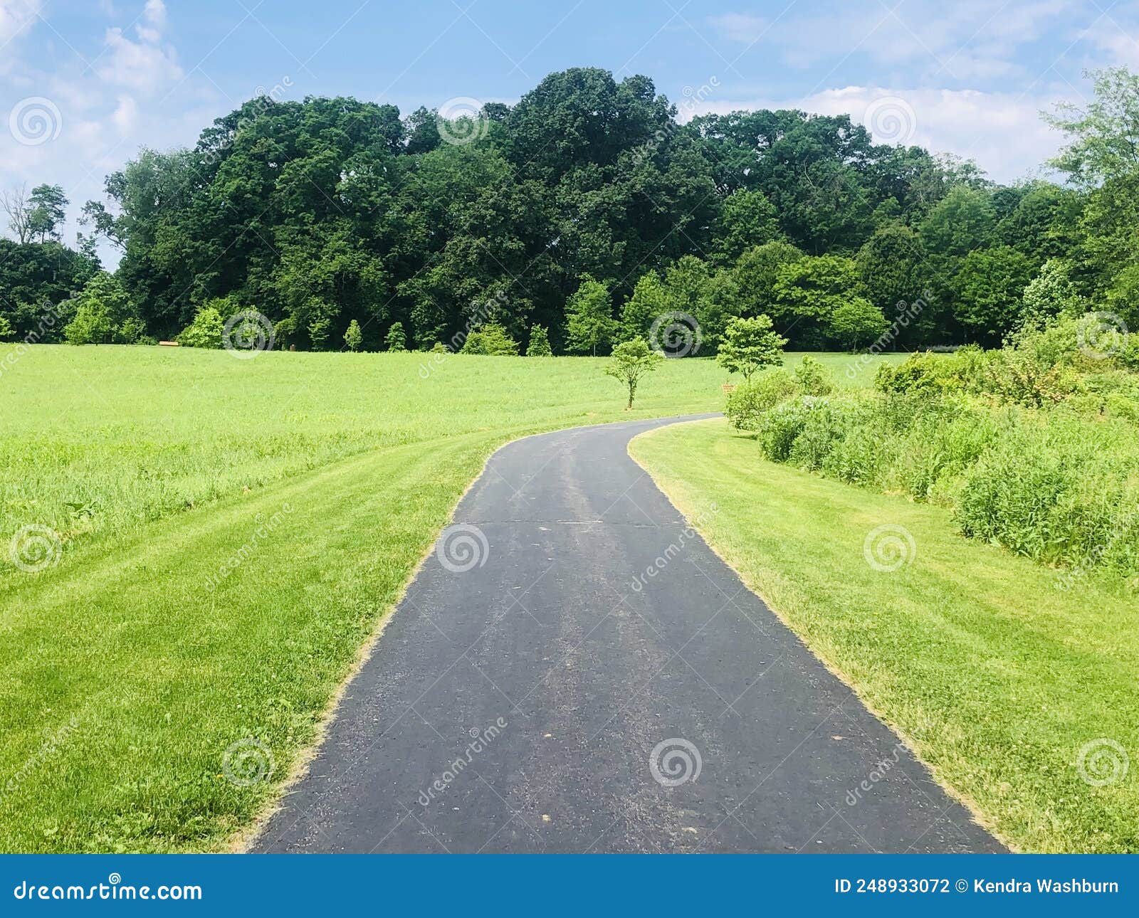 Summer walk in the Park stock photo. Image of plants - 248933072
