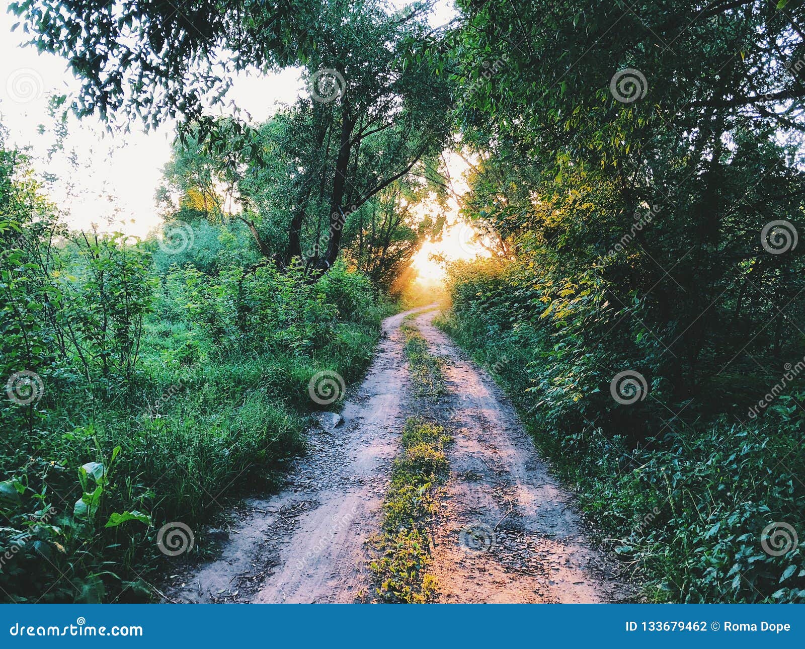 Summer walk stock photo. Image of environment, sunlight - 133679462