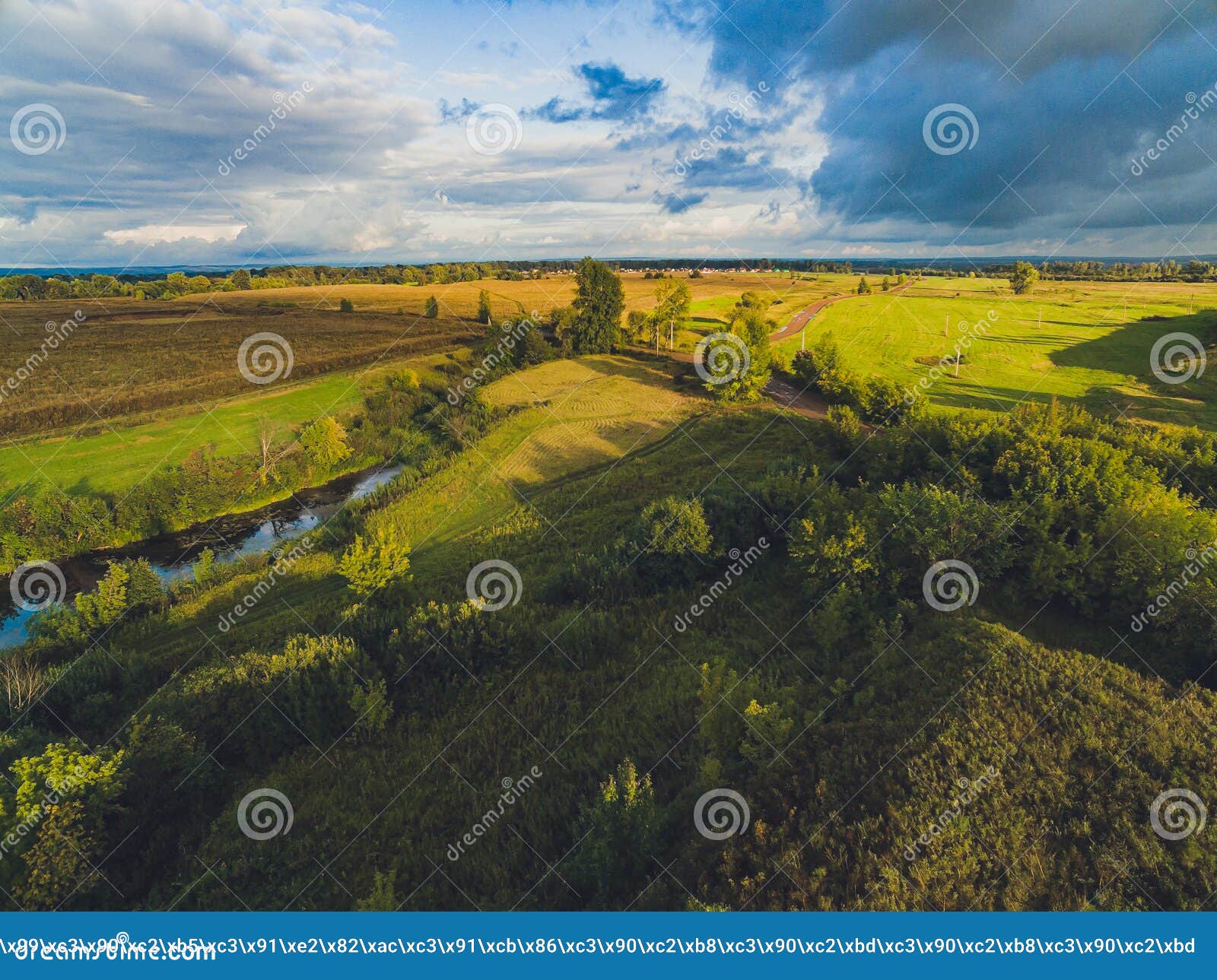 Summer Warm Sun Light Forest Aerial View. Stock Photo - Image of path ...