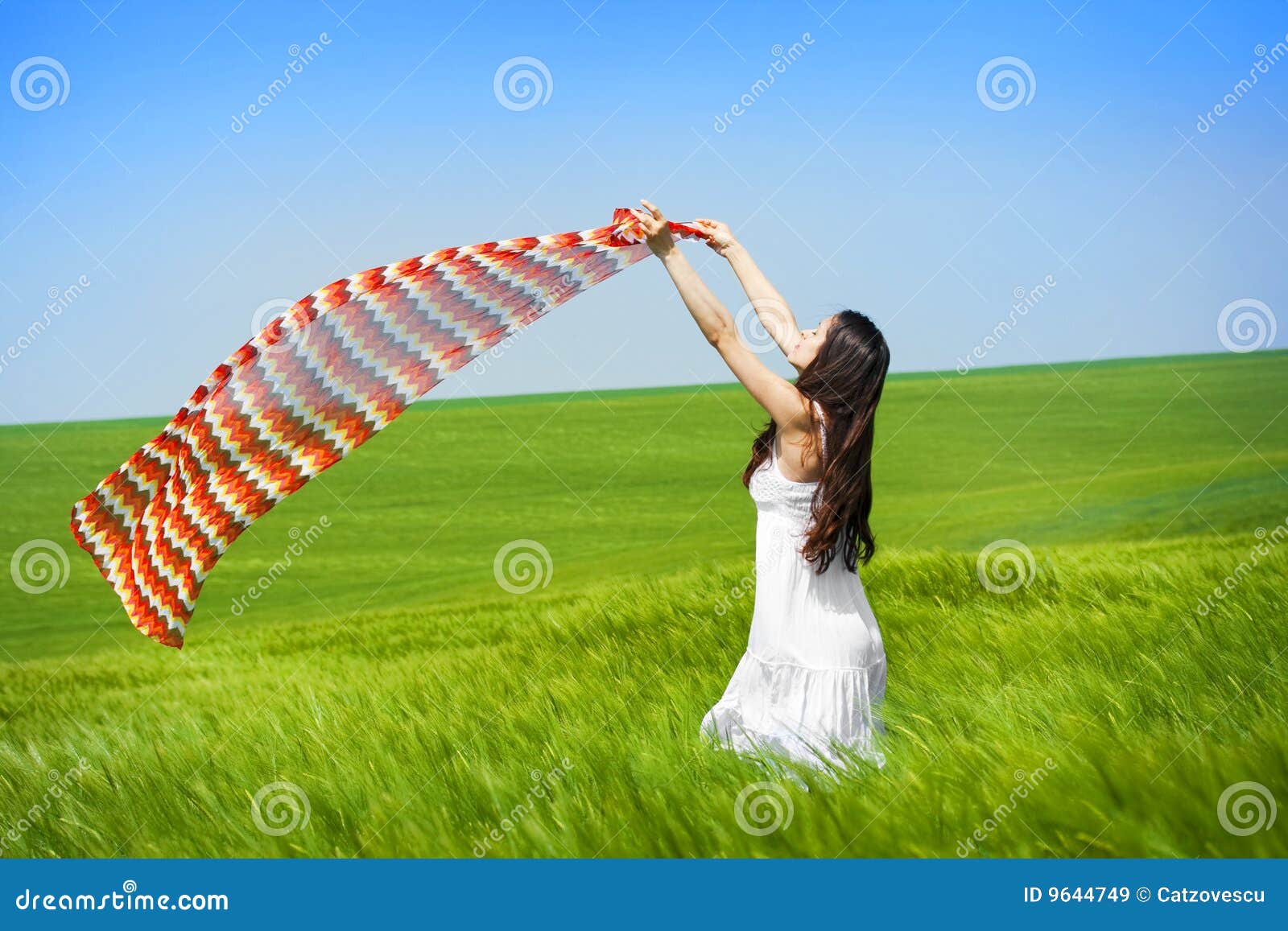 Summer wind stock image. Image of nature, blue, farmland - 9644749