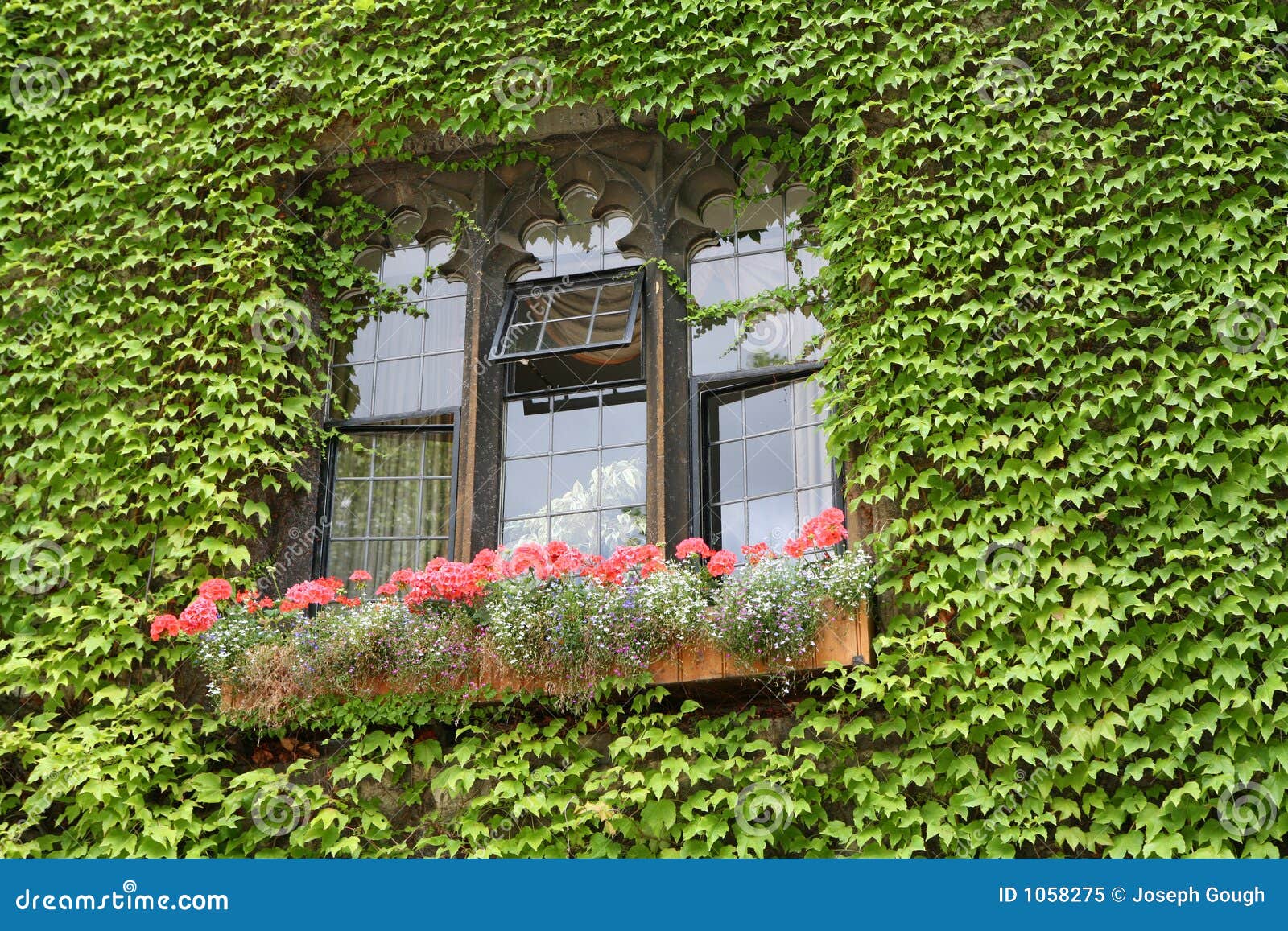 Summer Window stock image. Image of colourful, leaded - 1058275