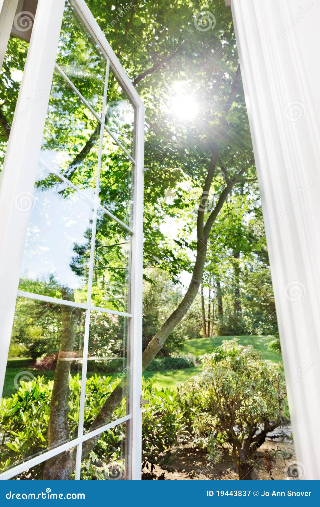 Summer window stock image. Image of sunny, sunlight, bush - 19443837
