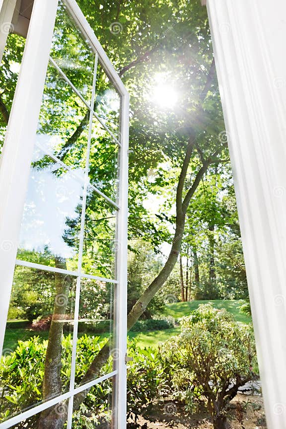 Summer window stock image. Image of sunny, sunlight, bush - 19443837