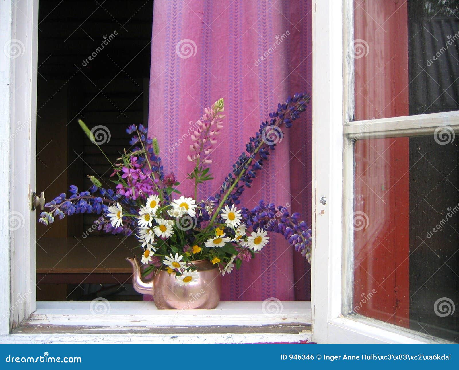 Summer window stock photo. Image of sill, lupine, window - 946346