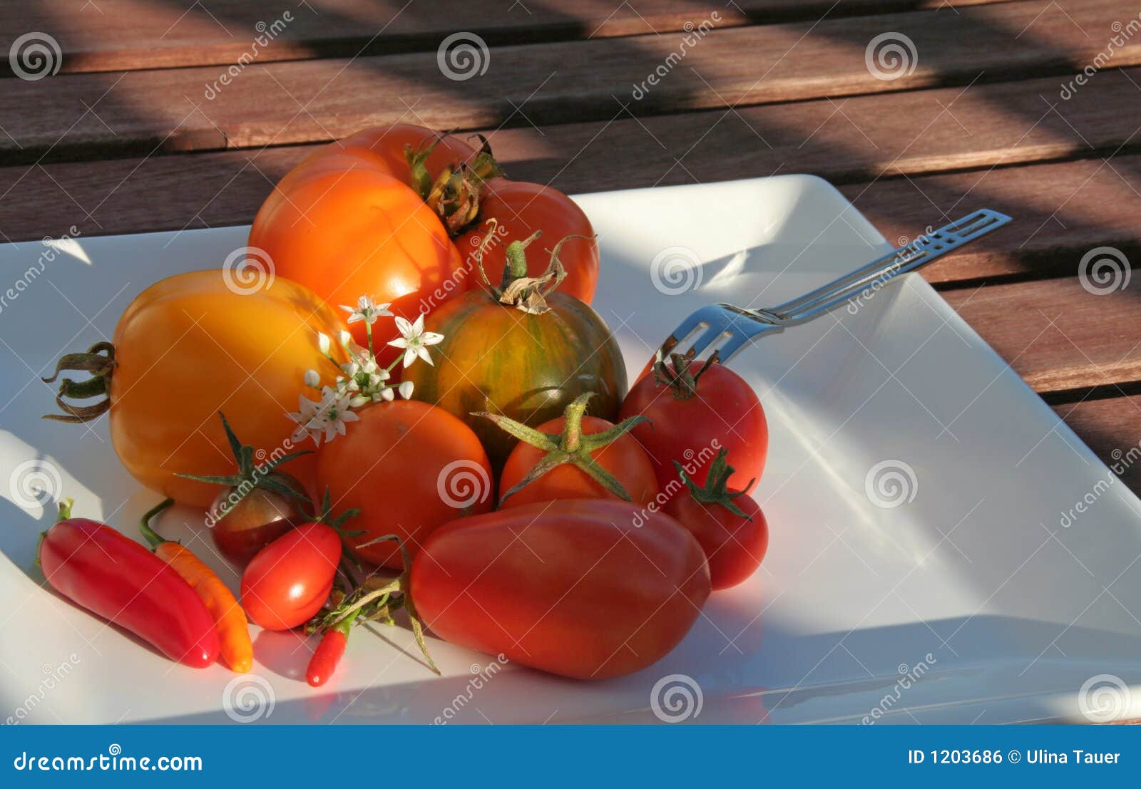 Summerly Harvest 3 stock photo. Image of diversity, color - 1203686