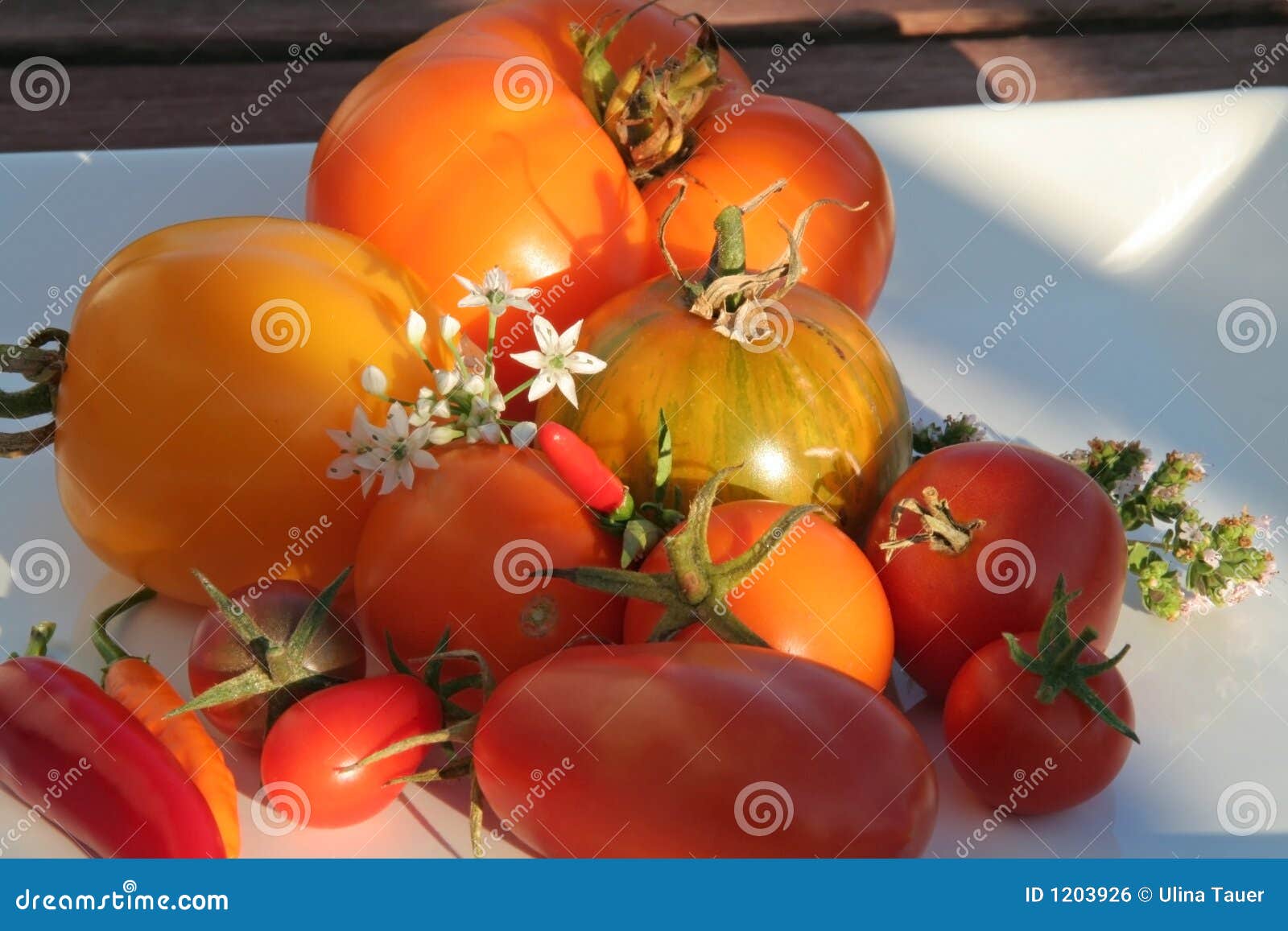 Summerly Harvest 7 stock photo. Image of colours, composition - 1203926