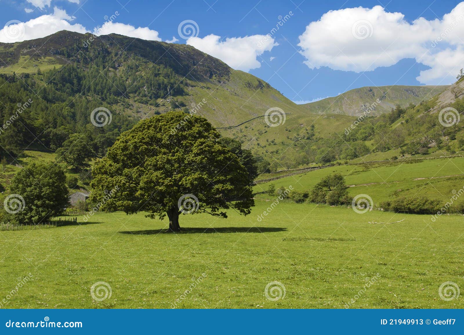 Summerscape stock image. Image of beauty, hill, area - 21949913