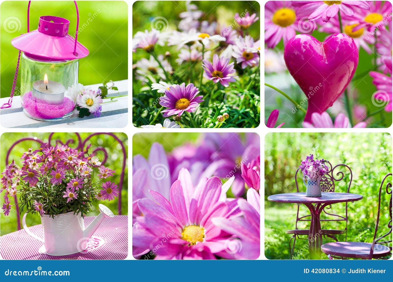 Summertime collage stock photo. Image of blossom, daisies - 42080834