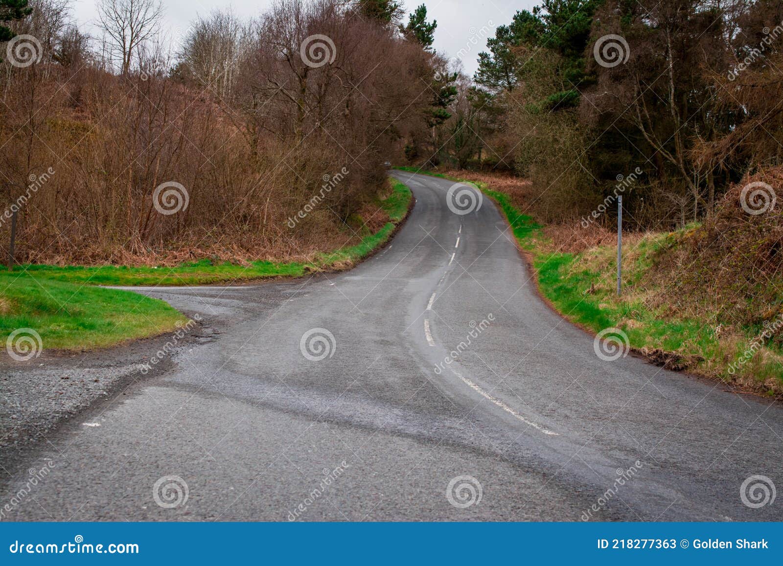 Summertime Country Roads in the Welsh Countryside Stock Image - Image ...