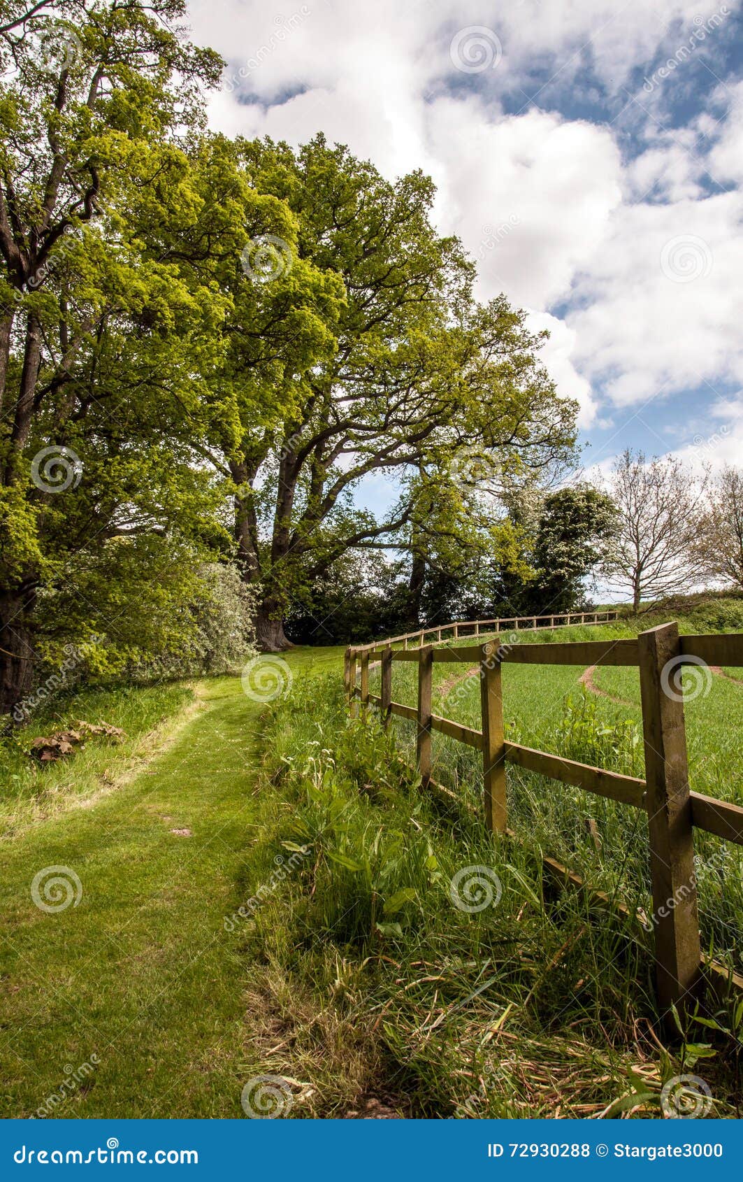 Summertime Down the Pathway in the English Countryside. Stock Photo ...