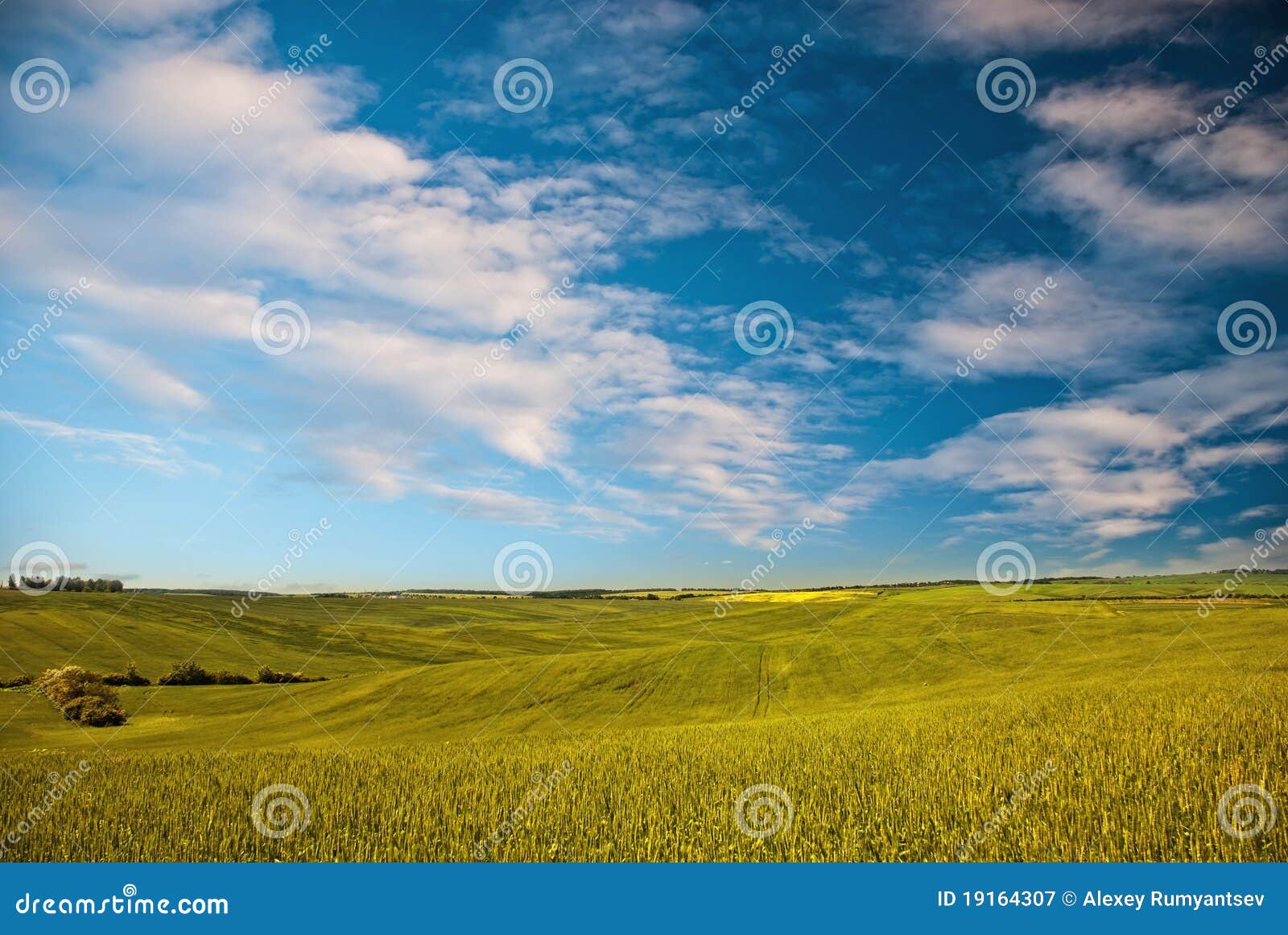 Summertime landscape stock image. Image of field, colors - 19164307
