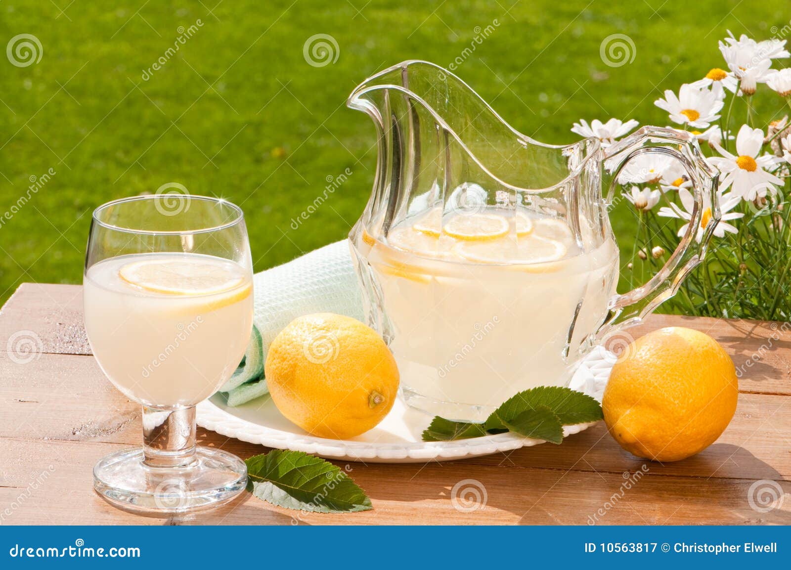 Summertime Lemonade stock image. Image of garnish, nature - 10563817