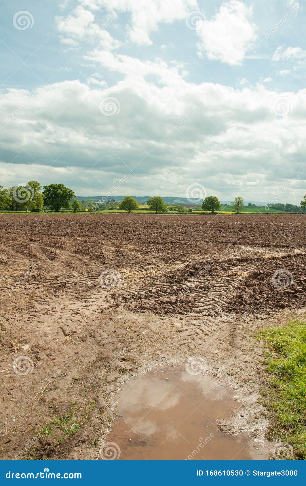 Summertime Muddy Fields and Agriculture in the British Countryside ...