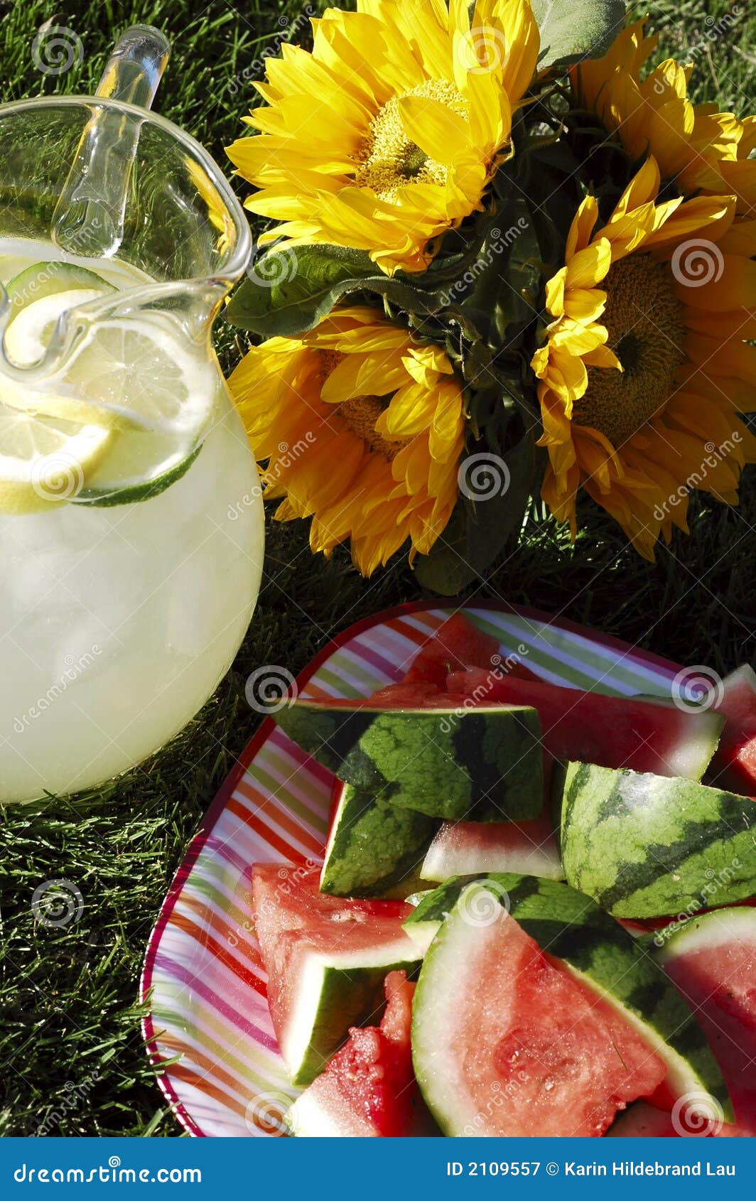 Summertime Refreshments stock image. Image of iced, closeup - 2109557