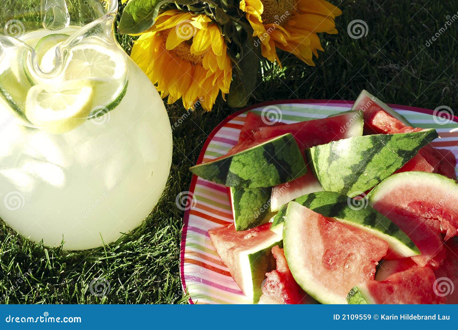 Summertime Refreshments stock image. Image of closeup - 2109559