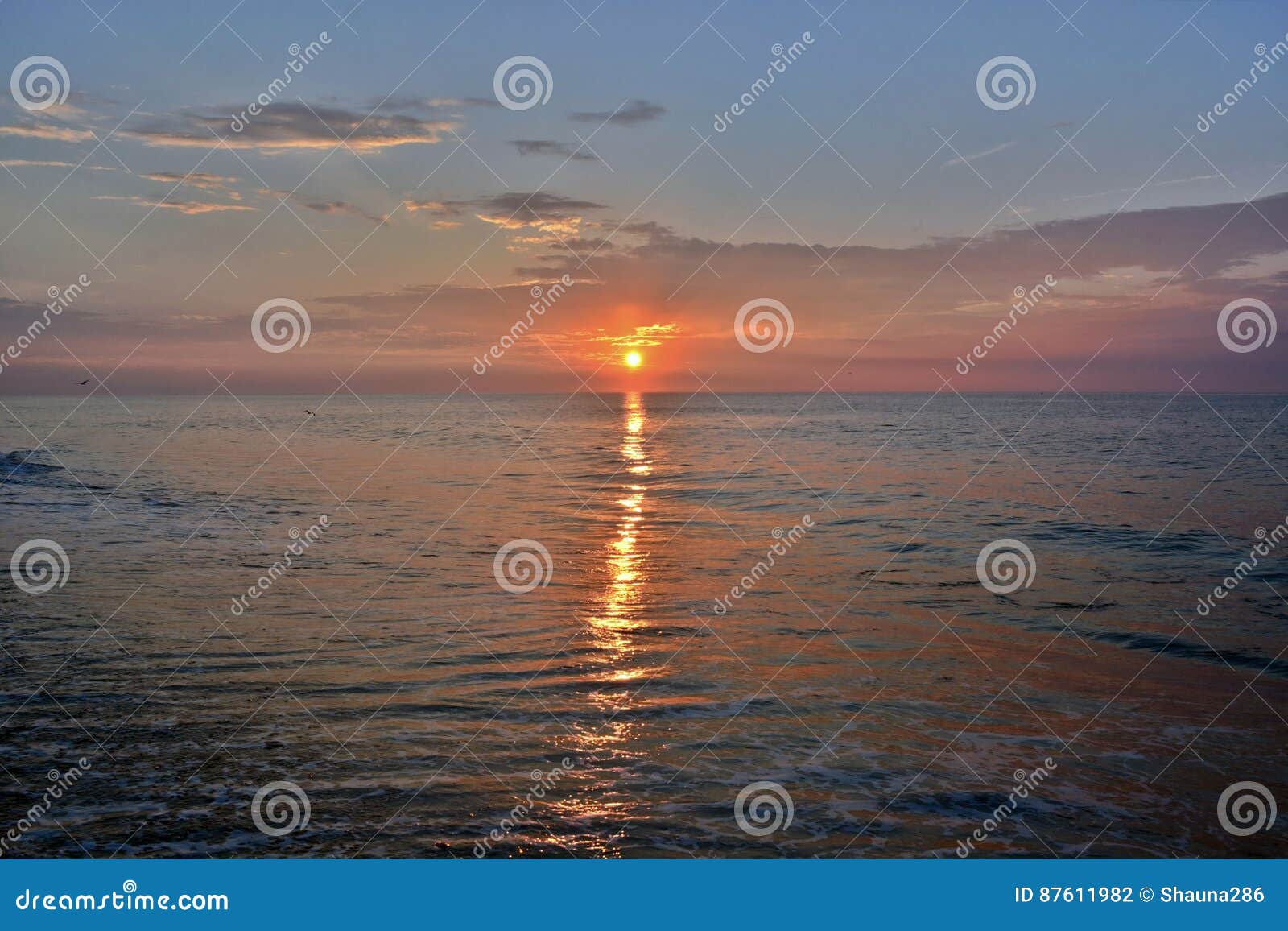 Summertime Seashore Sunrise Stock Photo - Image of dawn, seashore: 87611982