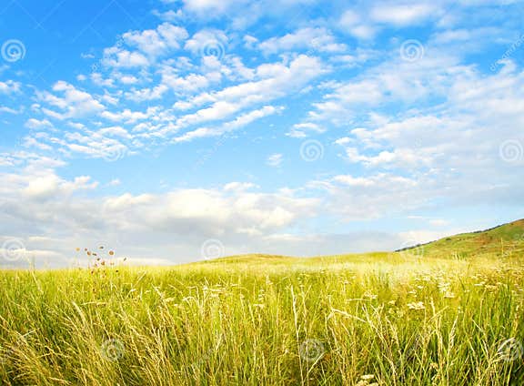 Summertime, solar field stock image. Image of beautiful - 7361219