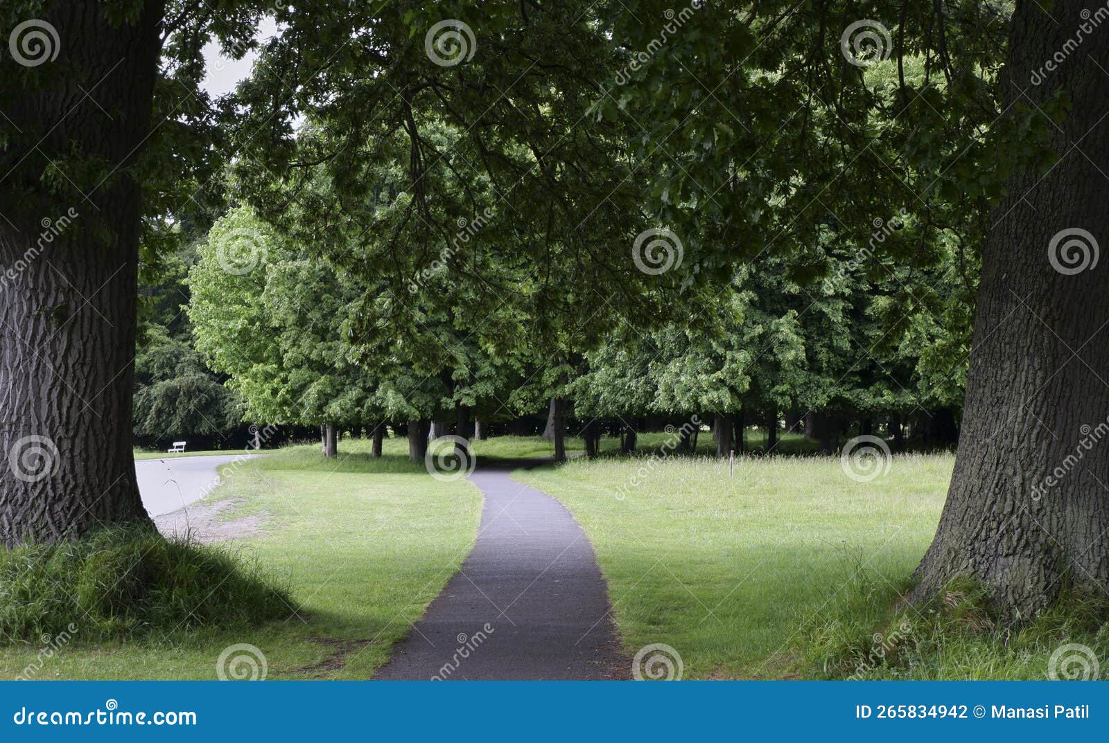 A Summery Phoenix Park in Dublin is the Definition of Green. Stock ...