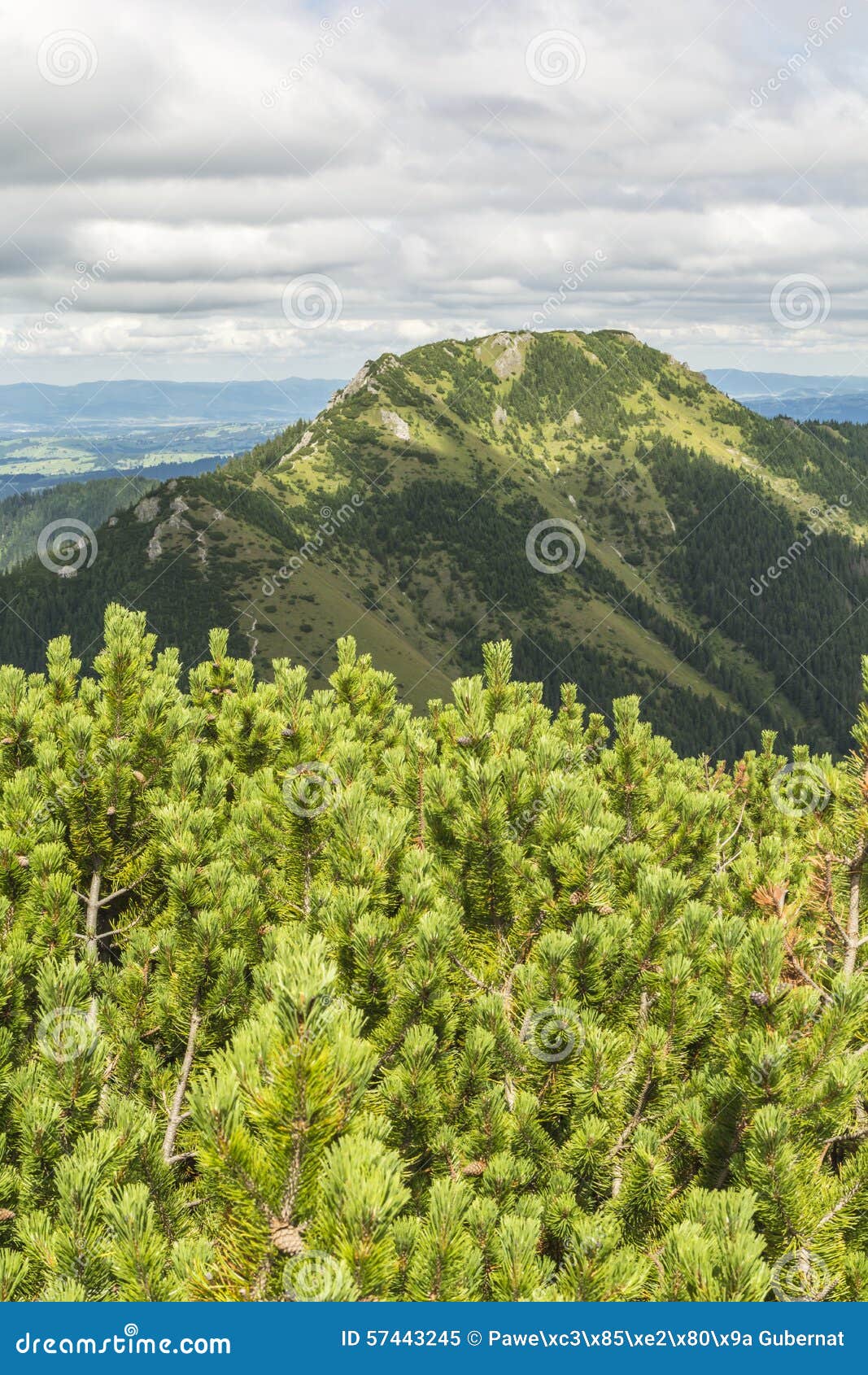 Summit Bobrowiec (Bobrovec) Stock Image - Image of blue, landscape ...