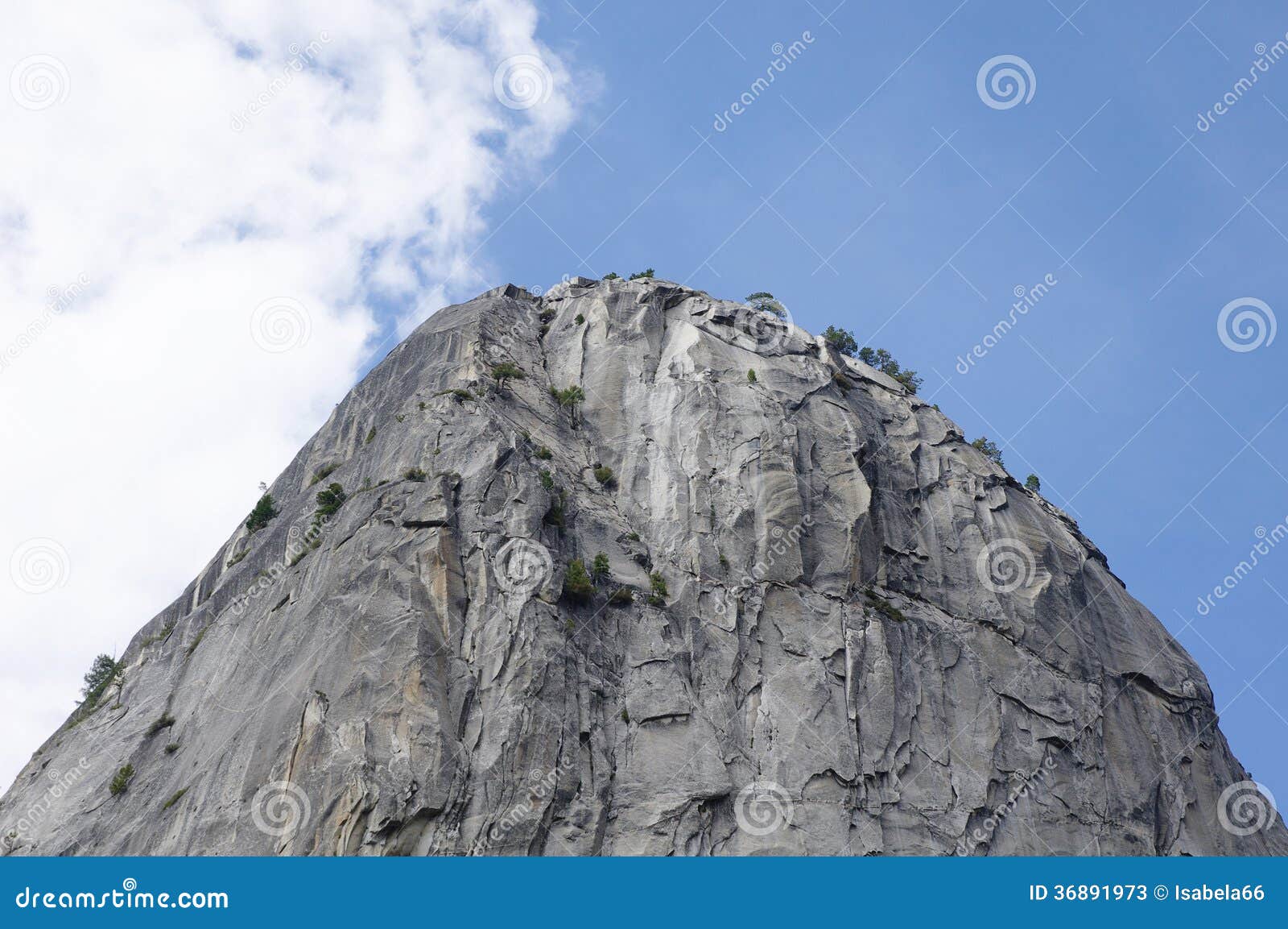 Summit Half Dome in the Yosemite National Park Stock Image - Image of ...