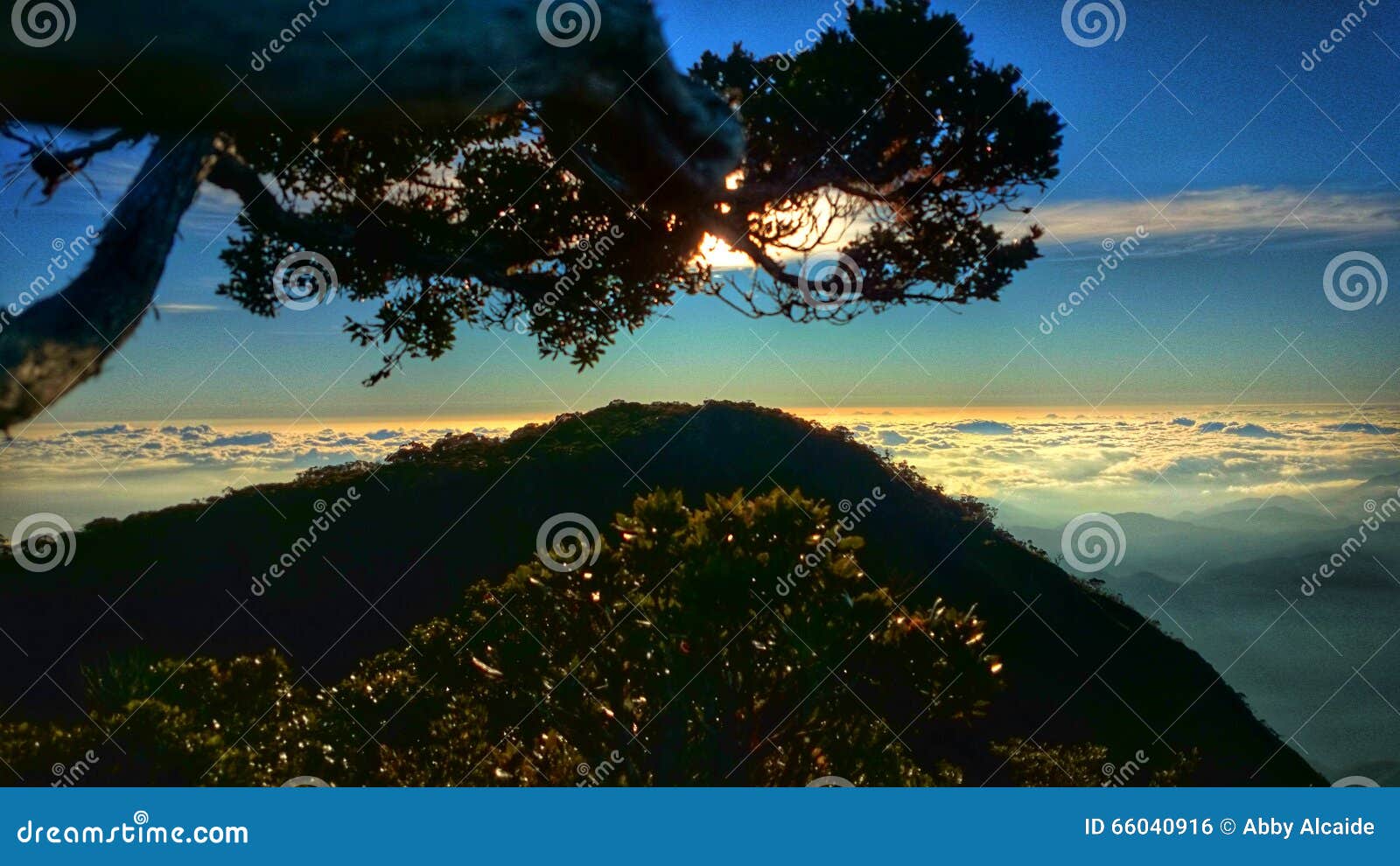 Summit of Mt Napulauan Philipines Stock Photo - Image of mountaineering ...