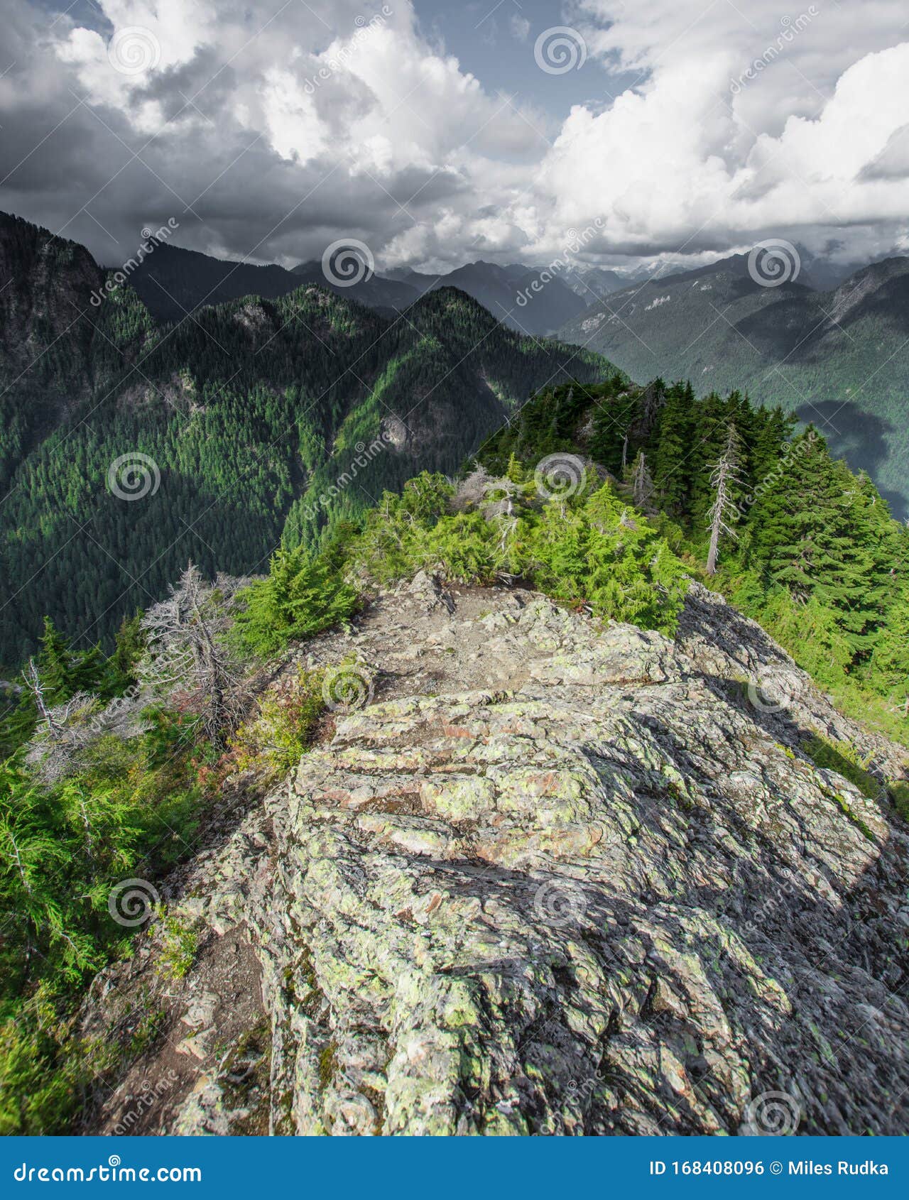 Summit Views Above Green Forests in Canada Stock Photo - Image of ...