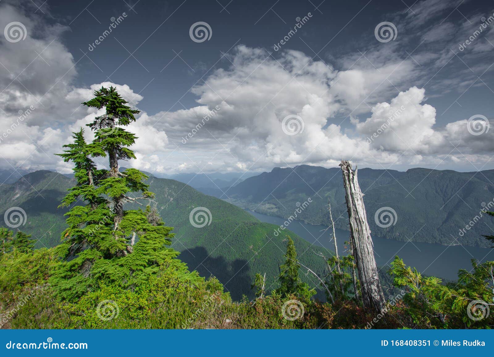 Summit Views Above Green Forests in Canada Stock Image - Image of ...