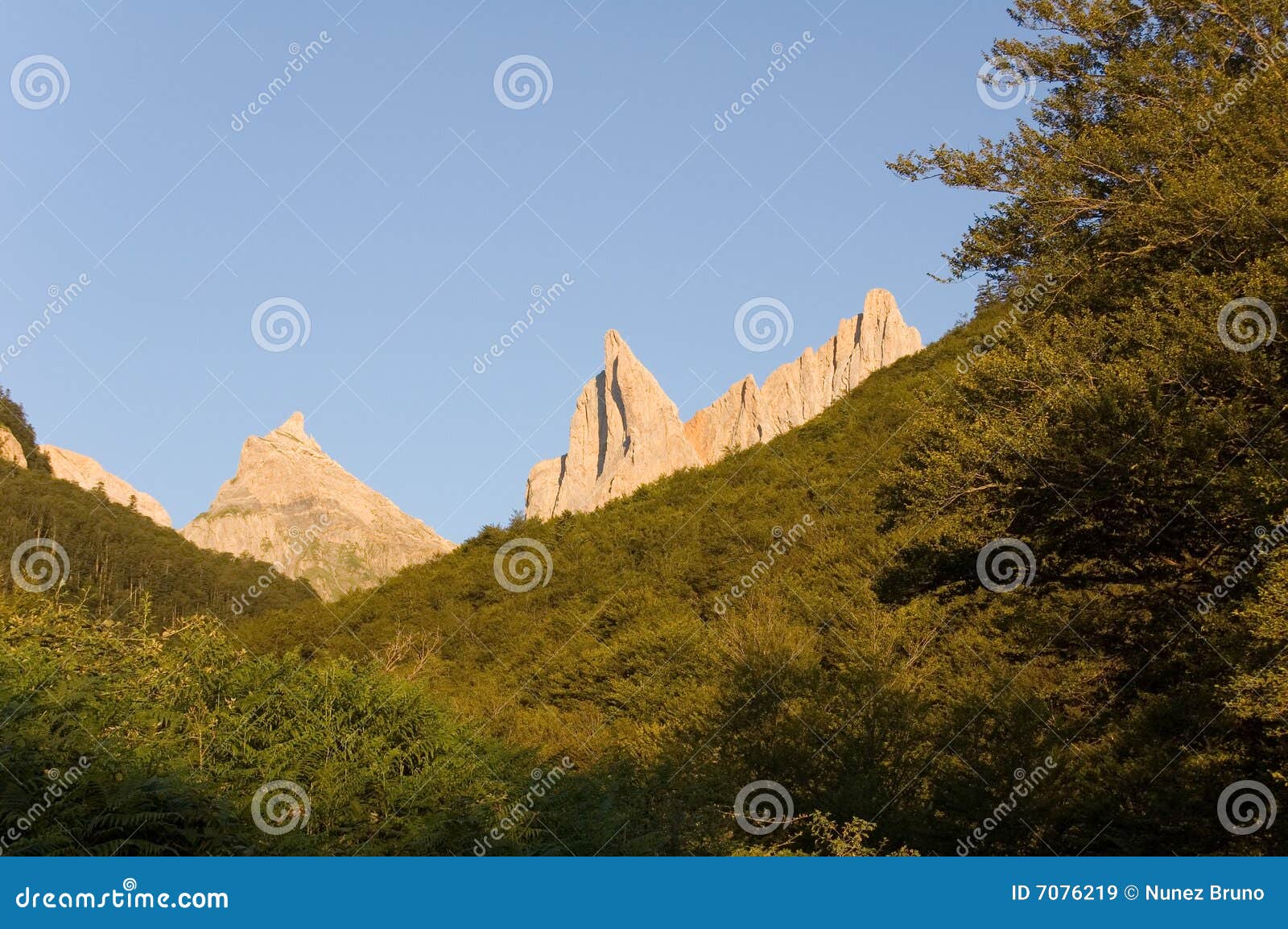 Summits of Pyrenees Over the Forest Stock Image - Image of france ...