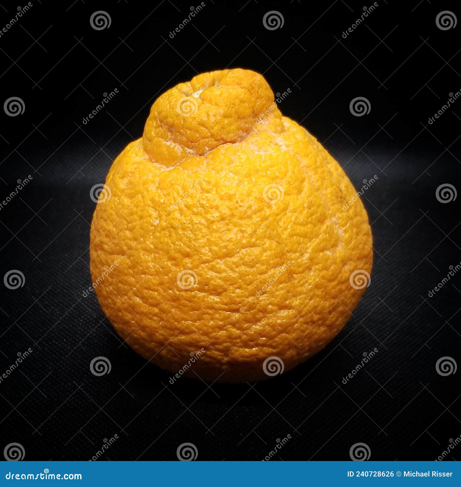 Sumo Mandarin Orange stock photo. Image of citrus, yellow - 240728626