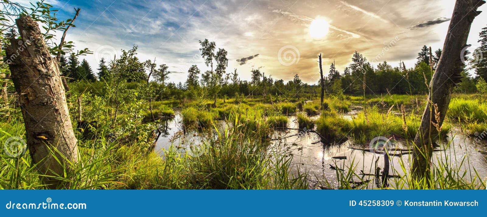 Sumpf stockbild. Bild von wolken, hügel, eingebürgert - 45258309