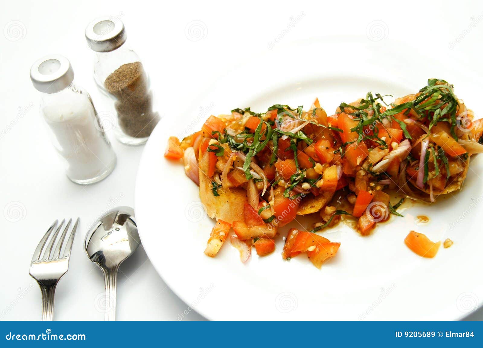 Sumptuous Dish stock image. Image of tasty, dish, dine - 9205689