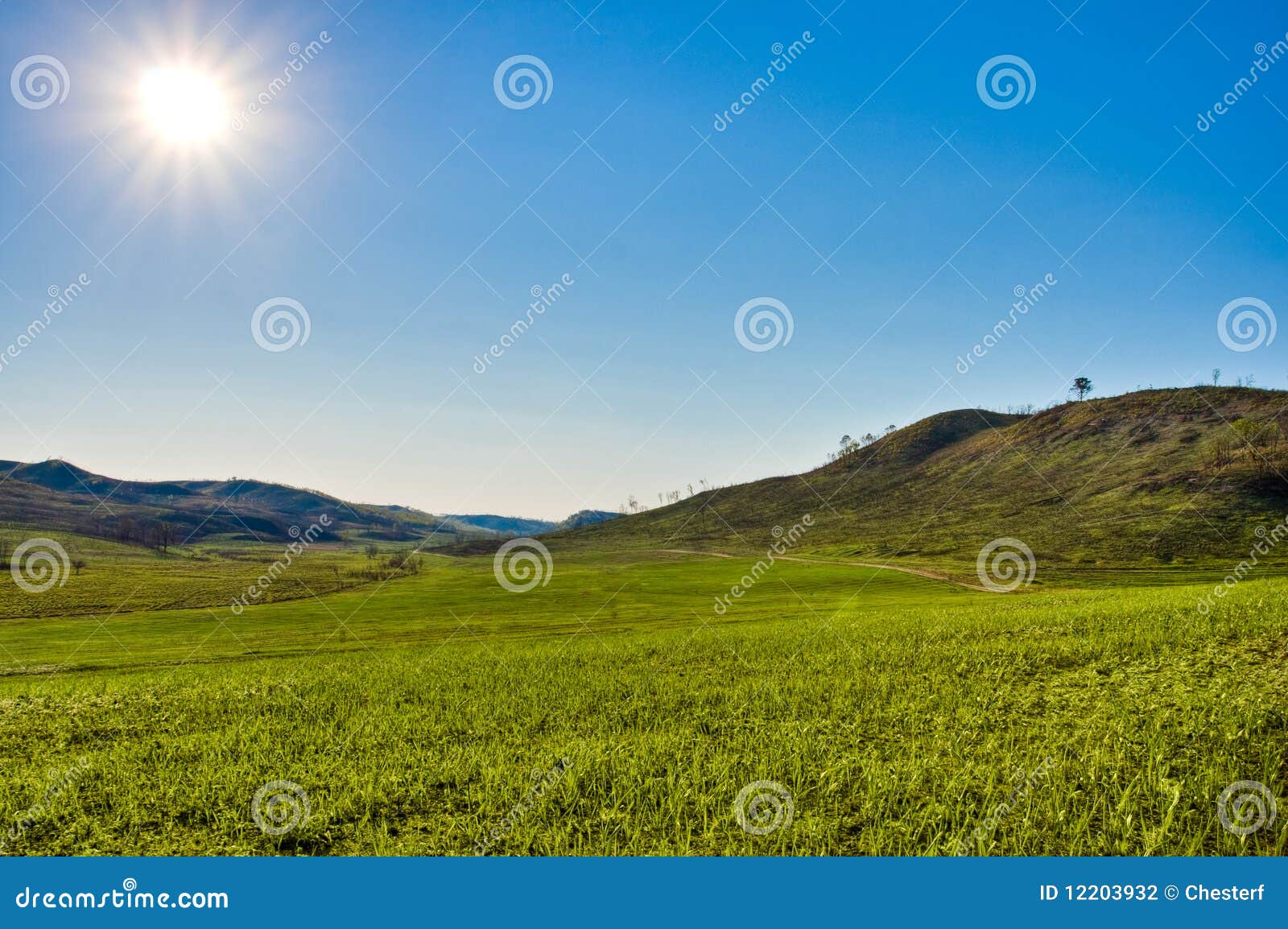 Green Valley Along Markha Valley Trek With Kang Yatse Peak At ...