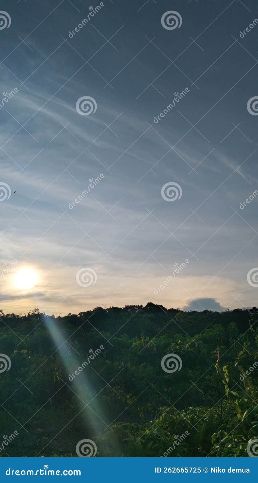 Sun in the afternoon stock image. Image of evening, wind - 262665725