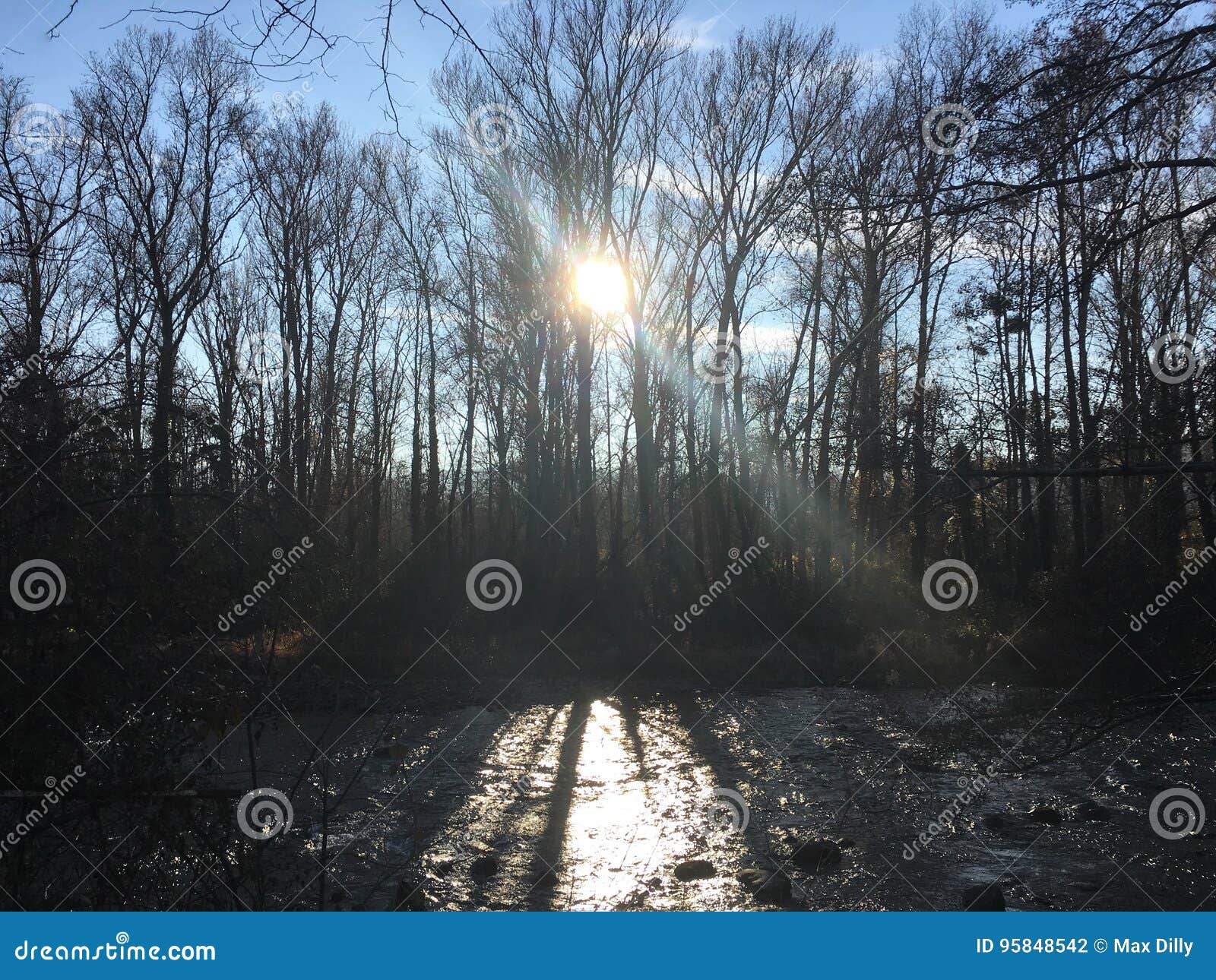 Sun in afternoon stock photo. Image of leef, love, next - 95848542