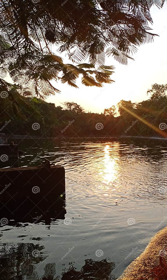 Sun in the afternoon. stock photo. Image of evening - 287391502